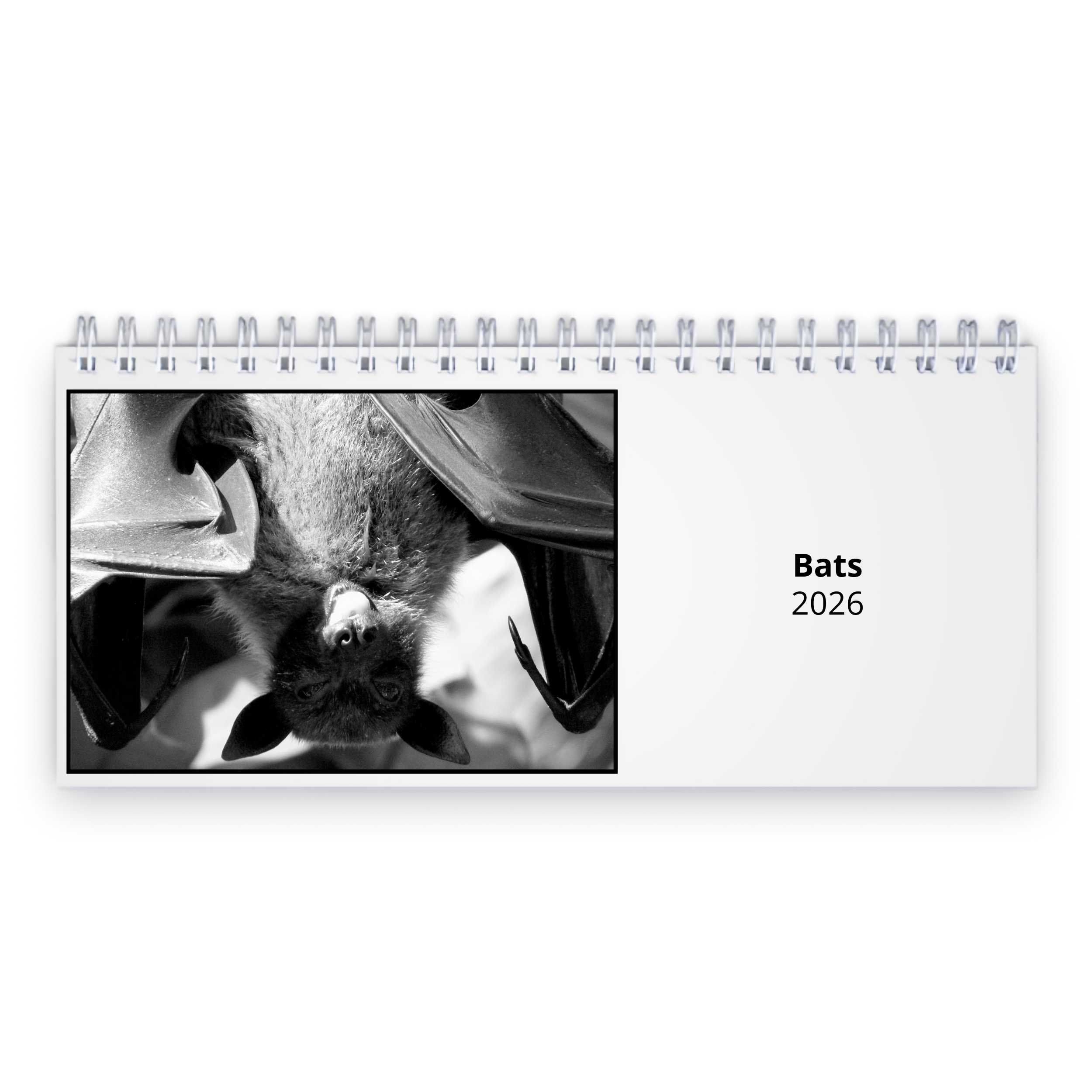 Bats 2026 Desk Calendar