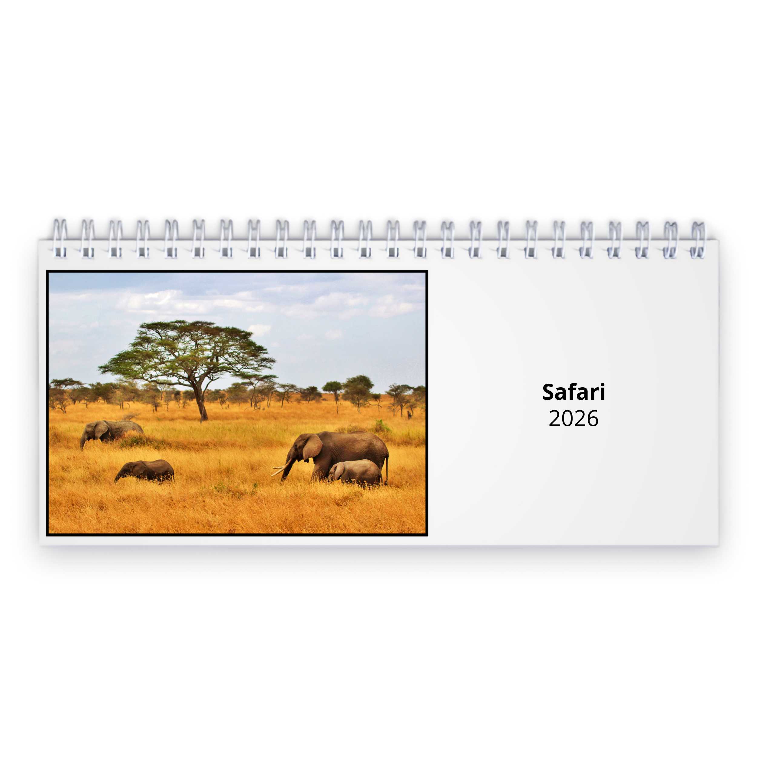 Safari 2026 Desk Calendar
