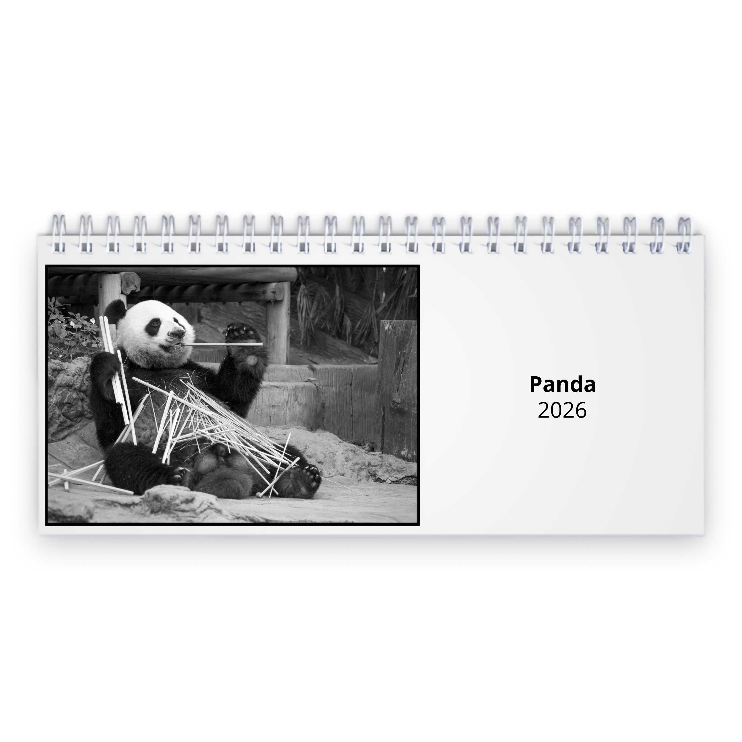 Panda 2026 Desk Calendar