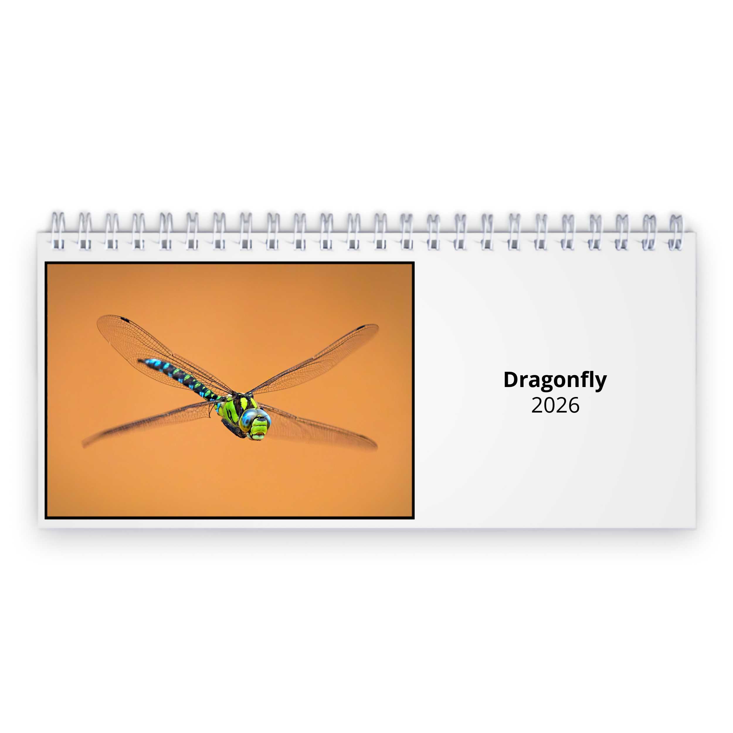 Dragonfly 2026 Desk Calendar