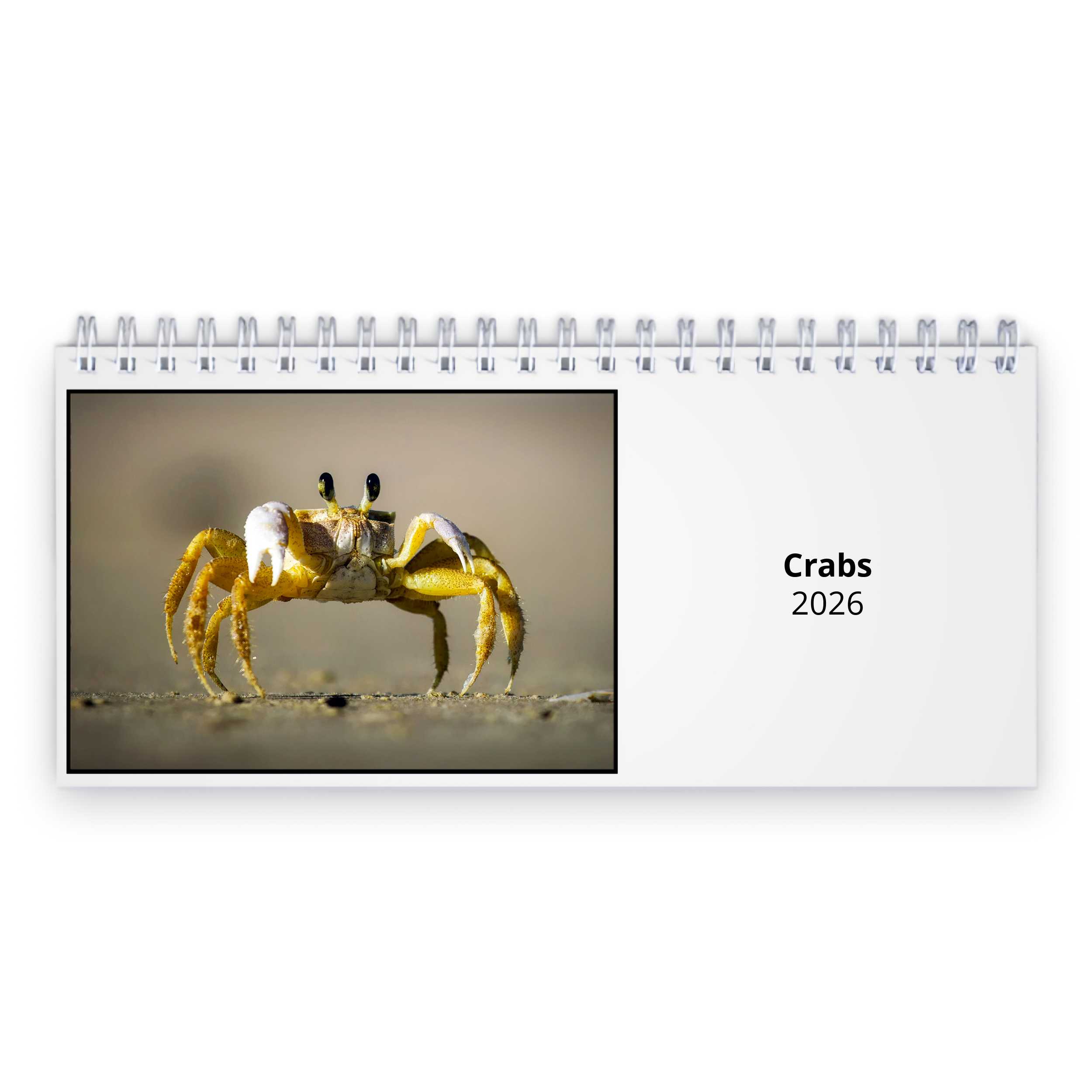Crabs 2026 Desk Calendar