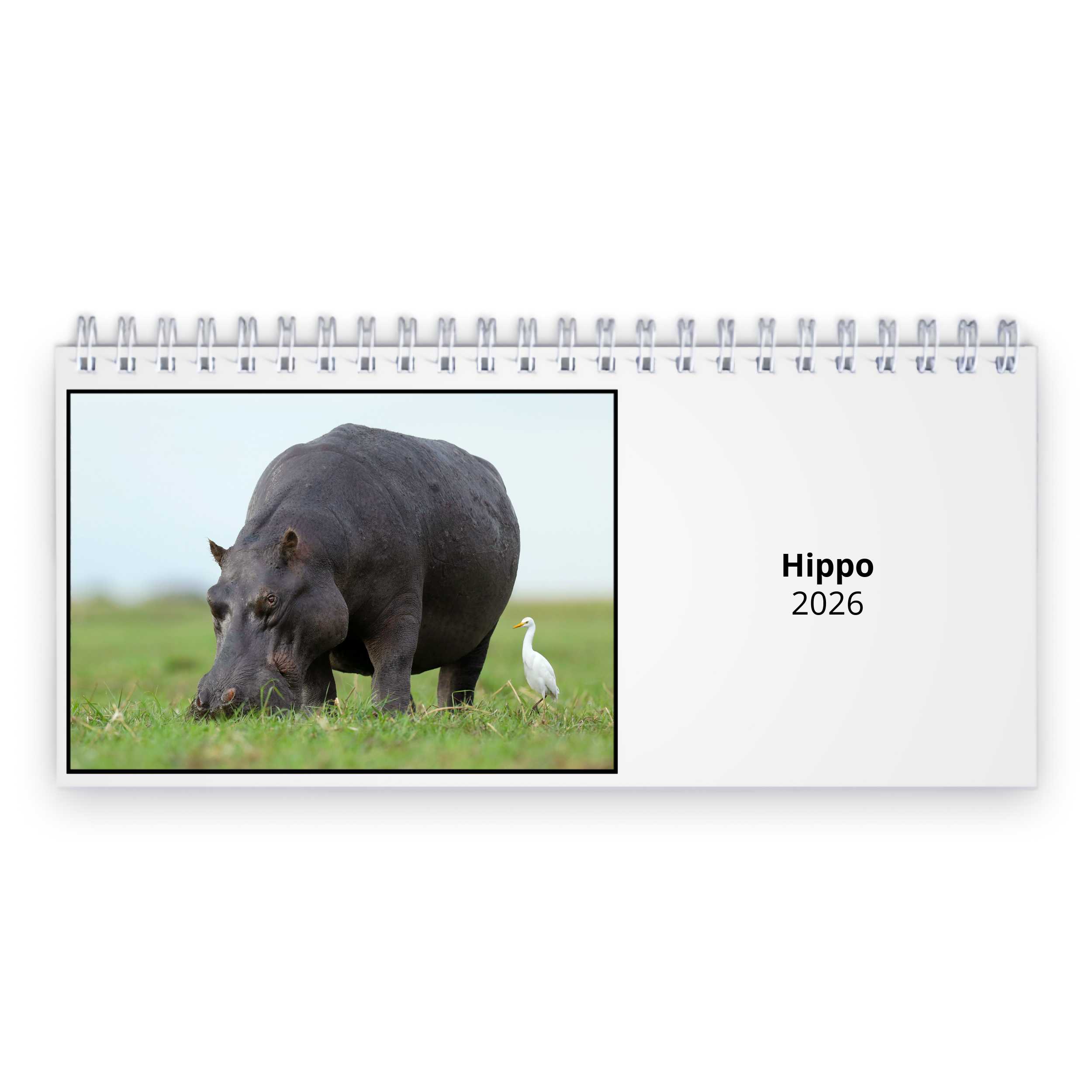 Hippo 2026 Desk Calendar