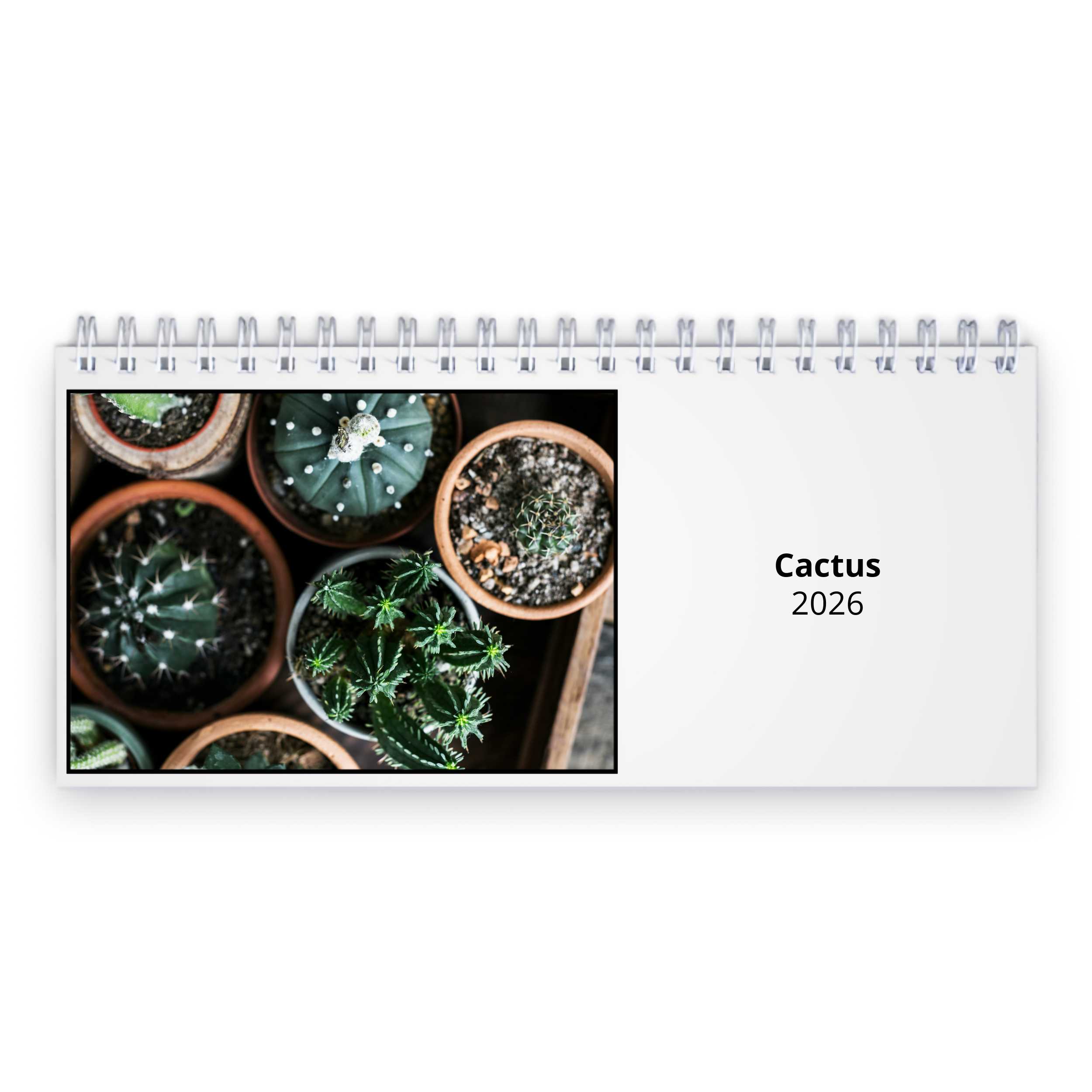 Cactus 2026 Desk Calendar