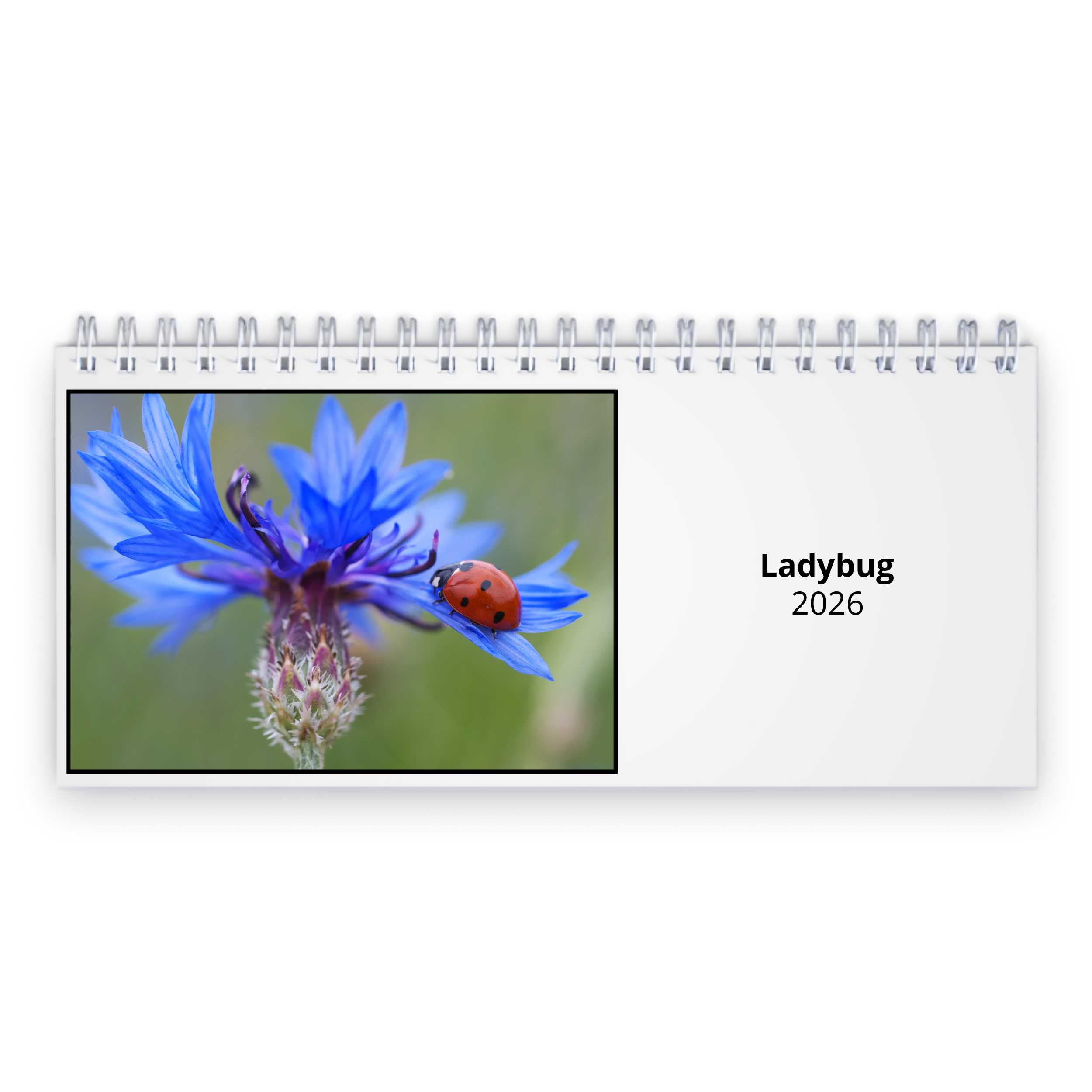 Ladybug 2026 Desk Calendar