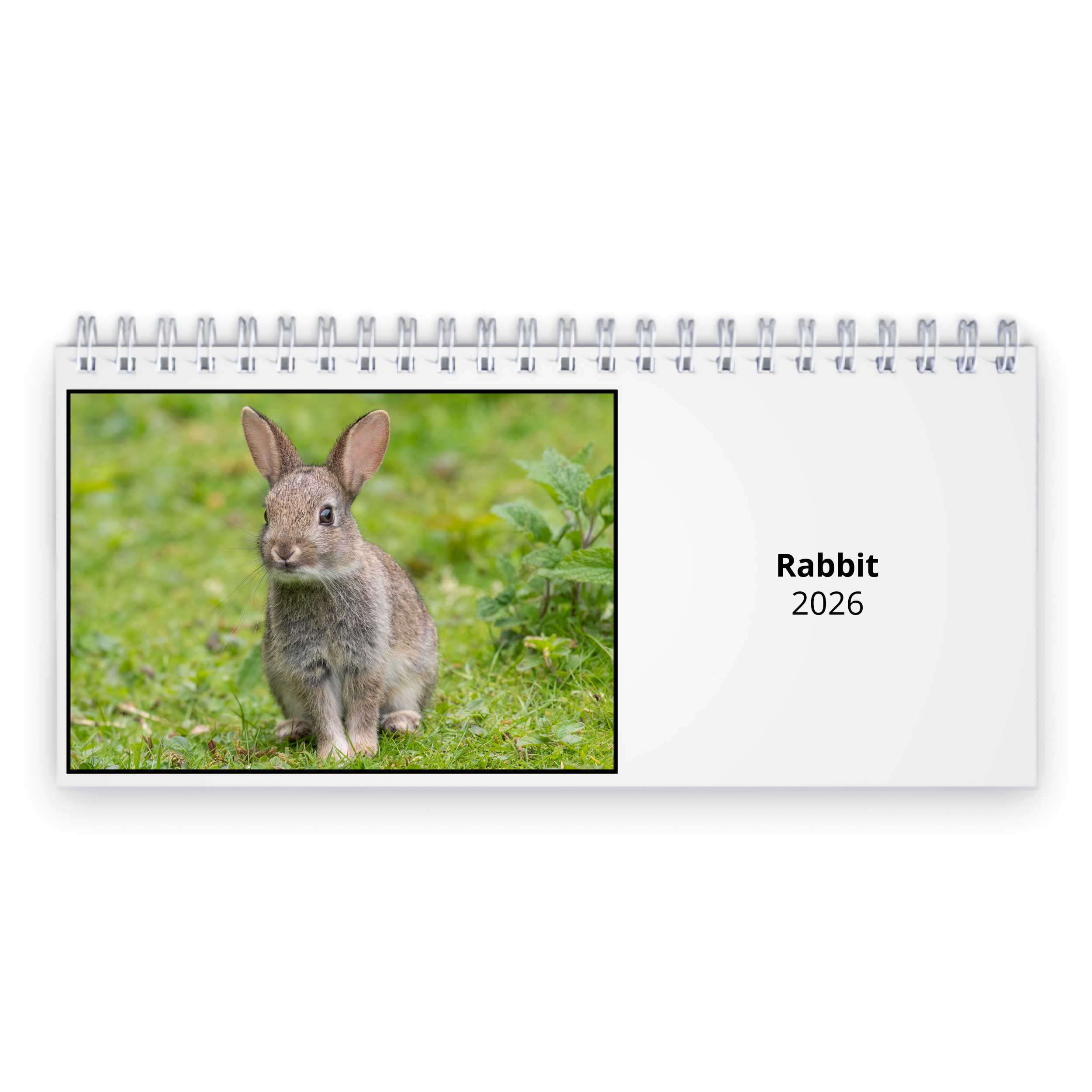 Rabbit 2026 Desk Calendar