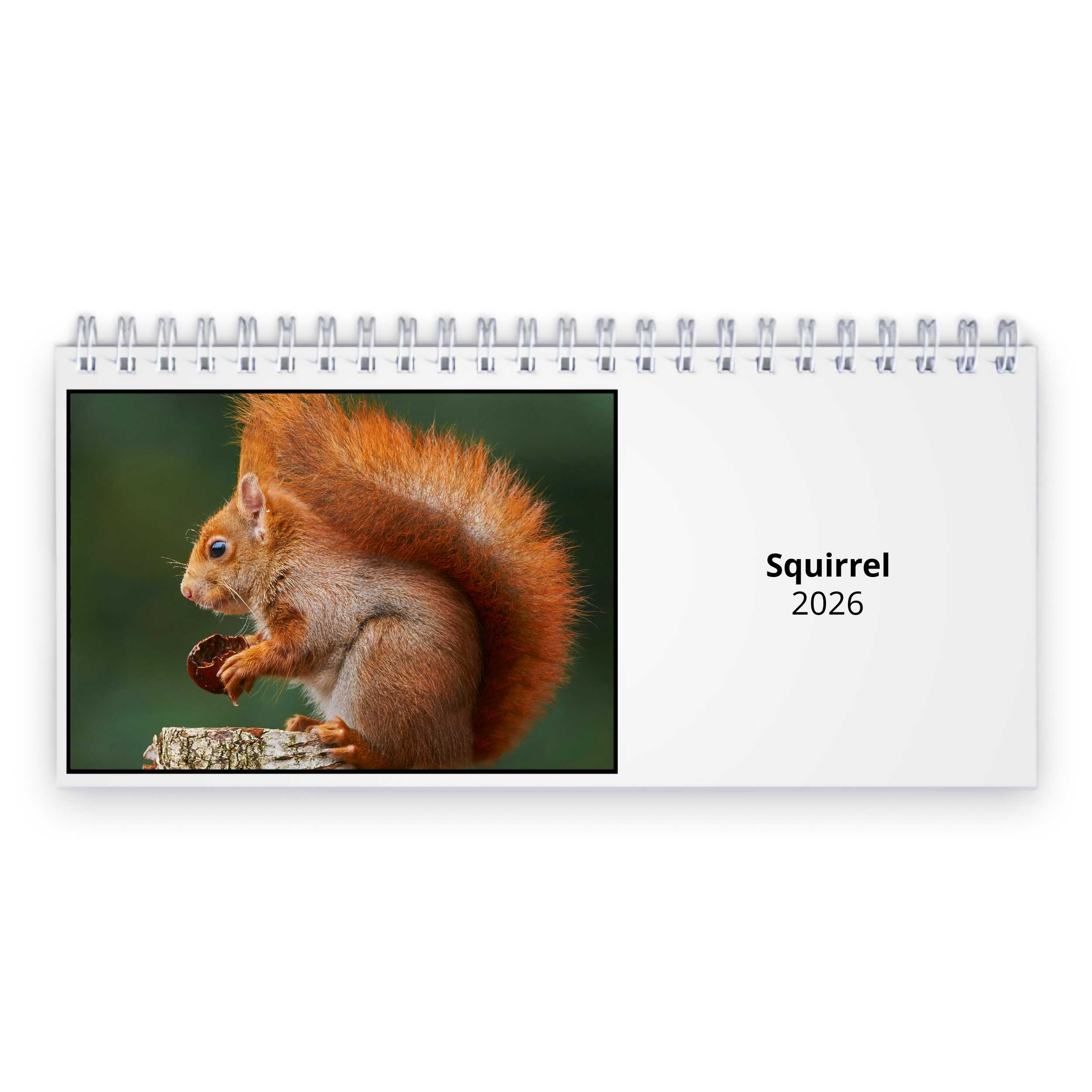Squirrel 2026 Desk Calendar