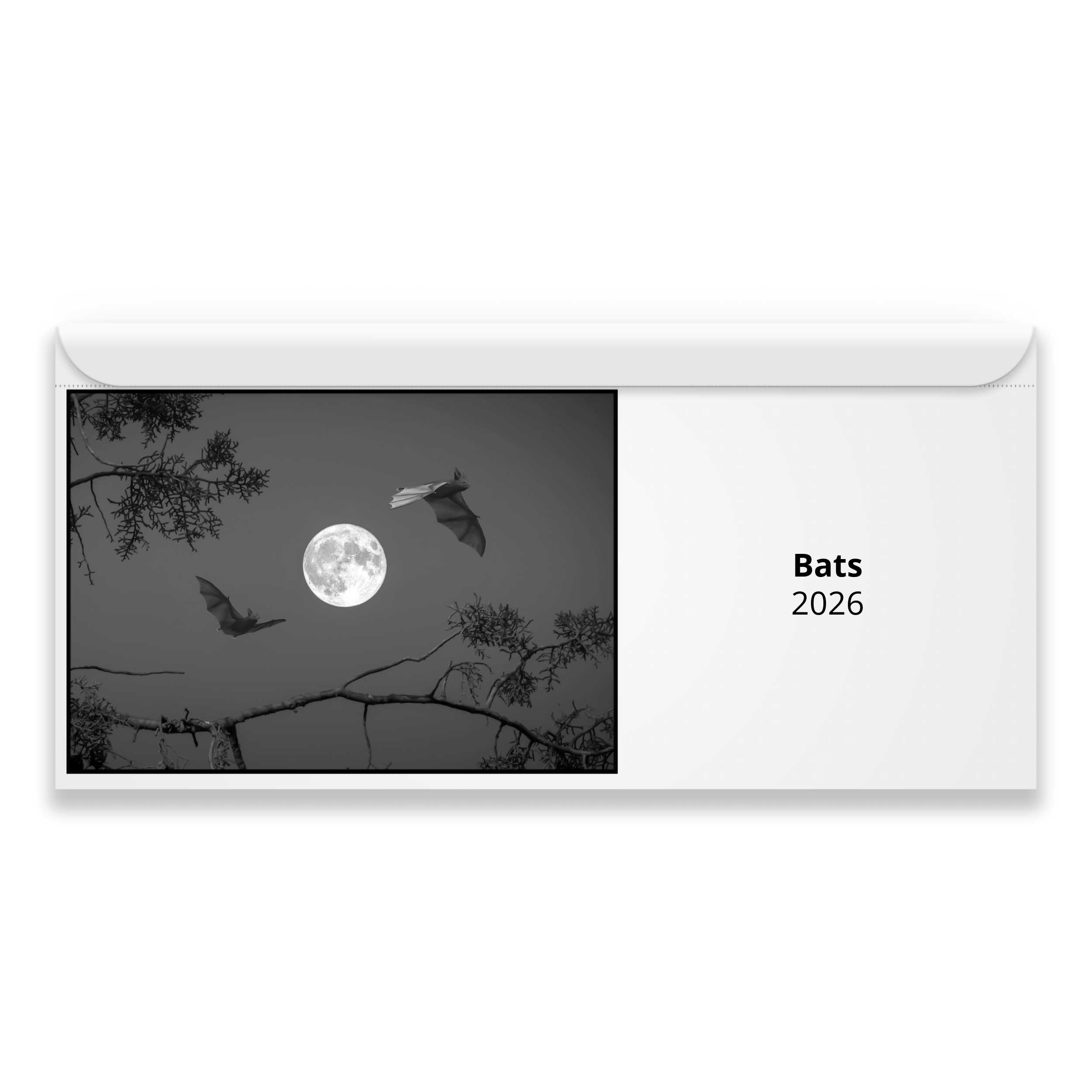 Bats 2025 Magnetic Calendar