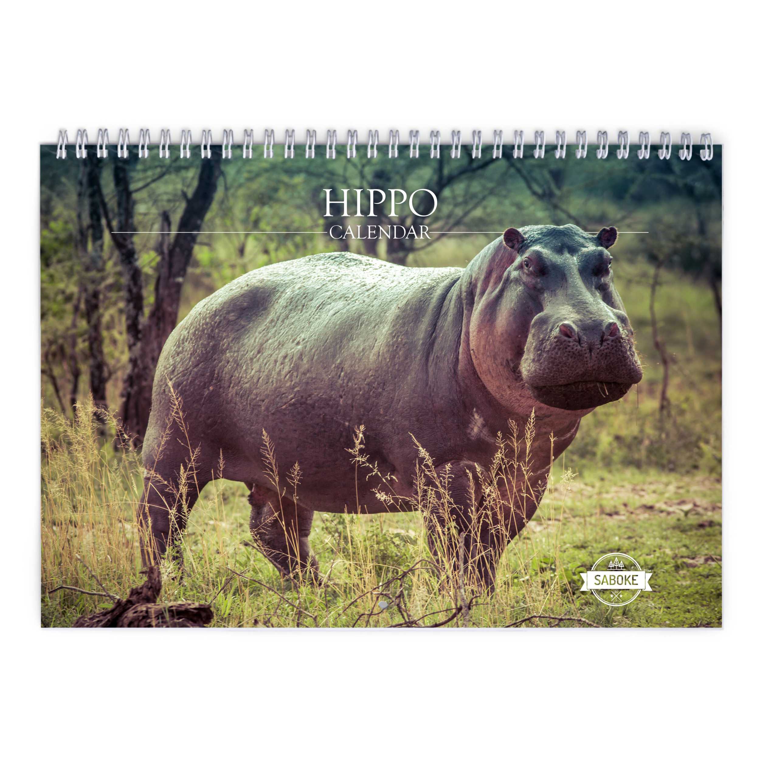 Hippo 2025 Wall Calendar