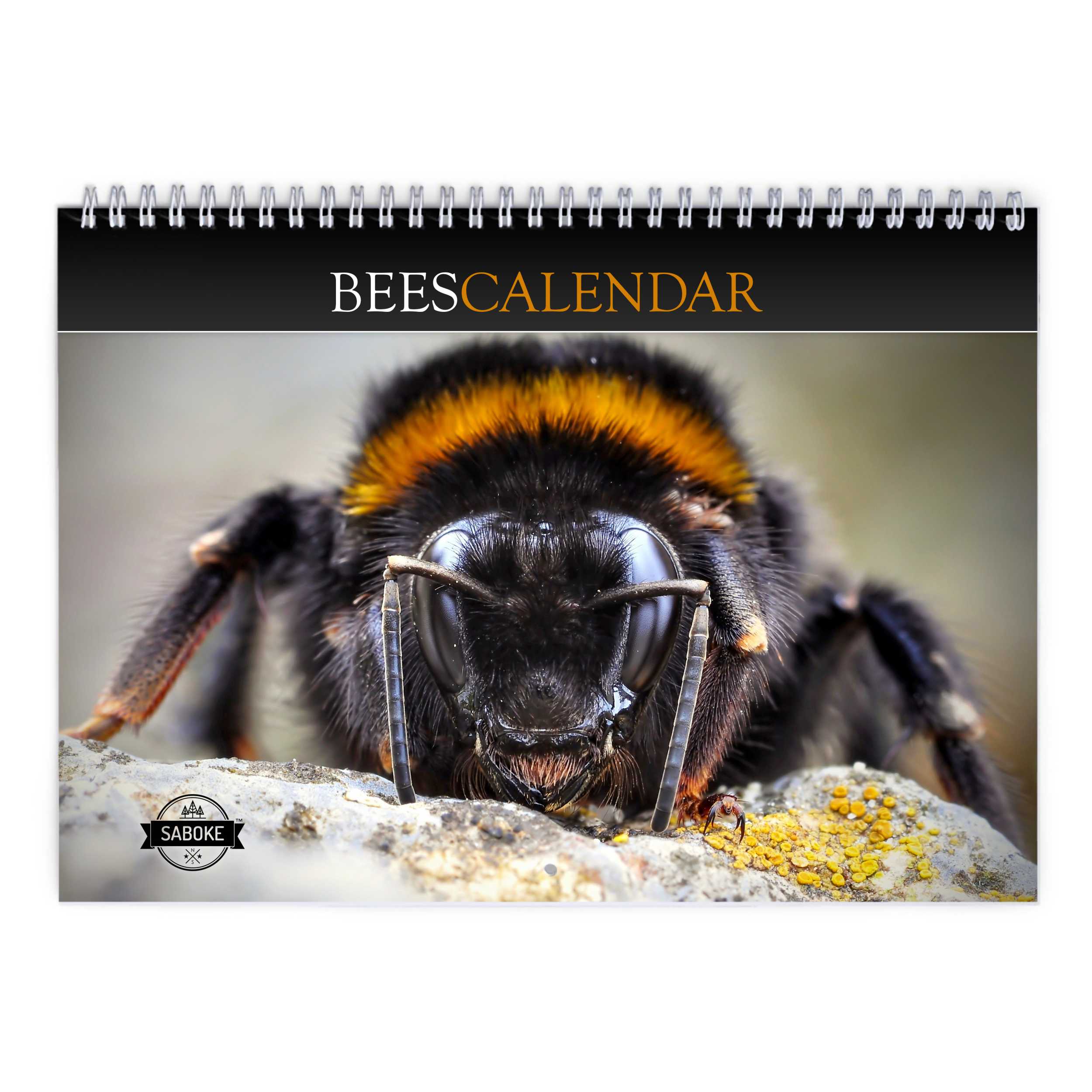 Bee 2025 Wall Calendar