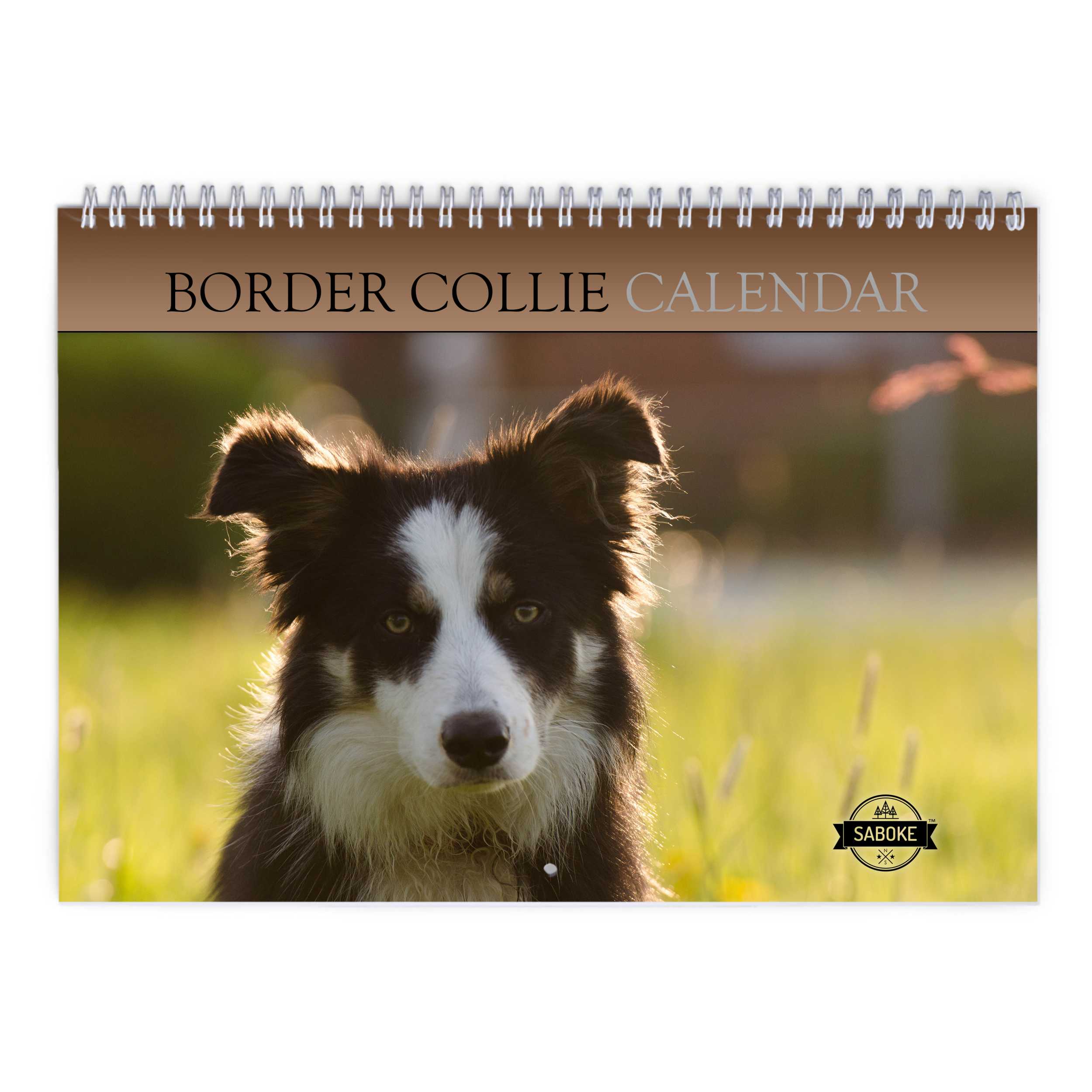Border Collie 2026 Wall Calendar
