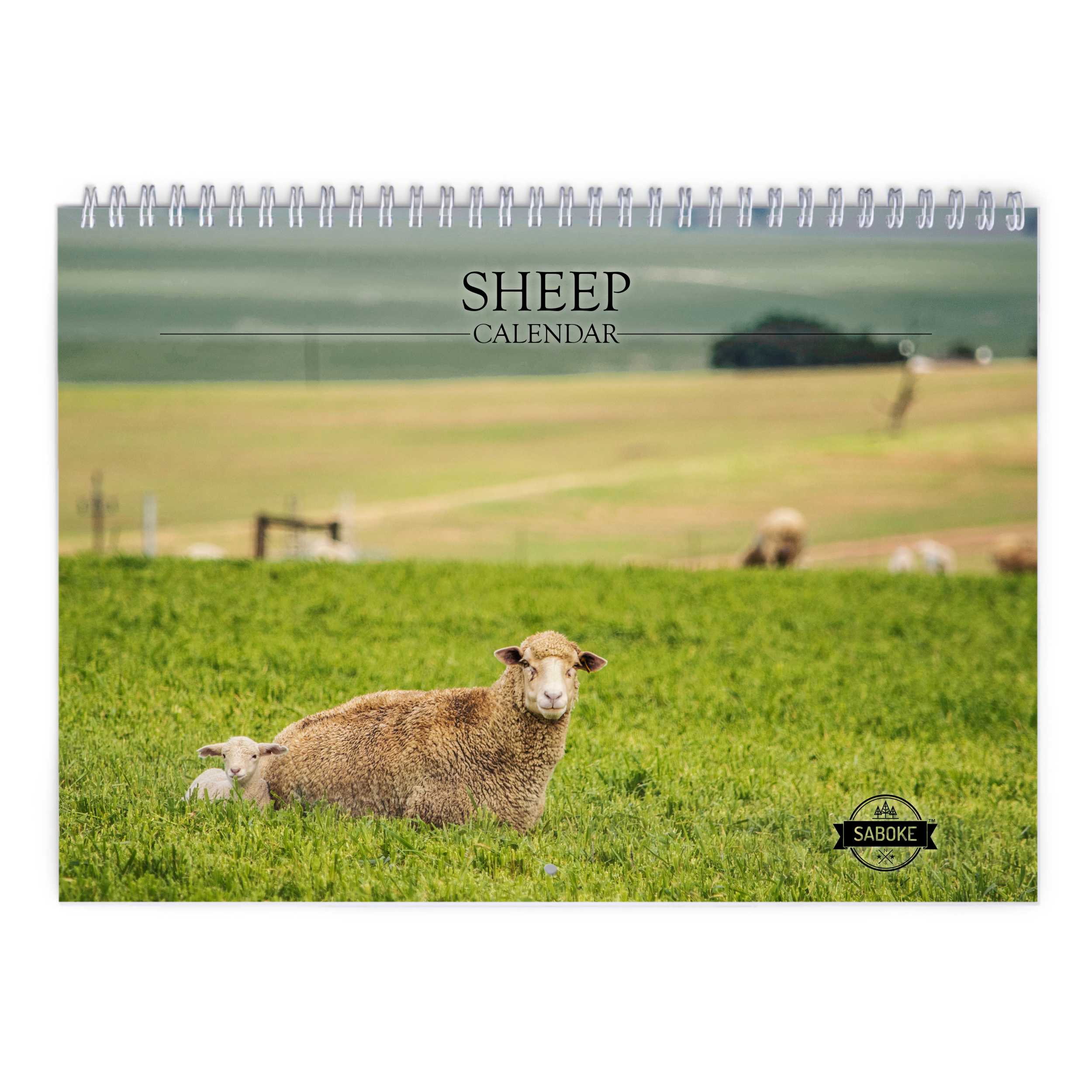 Sheep 2026 Wall Calendar
