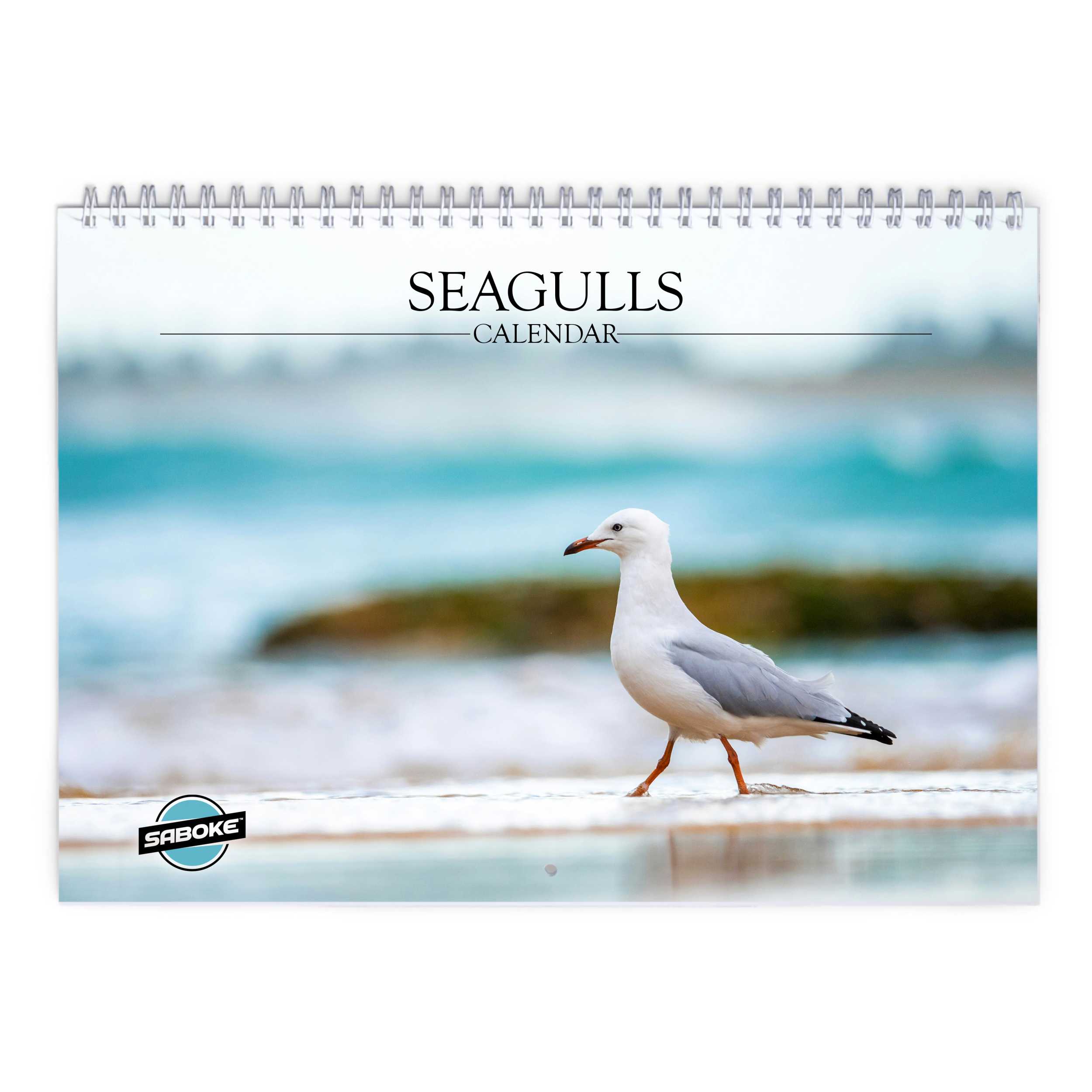 Seagull 2026 Wall Calendar