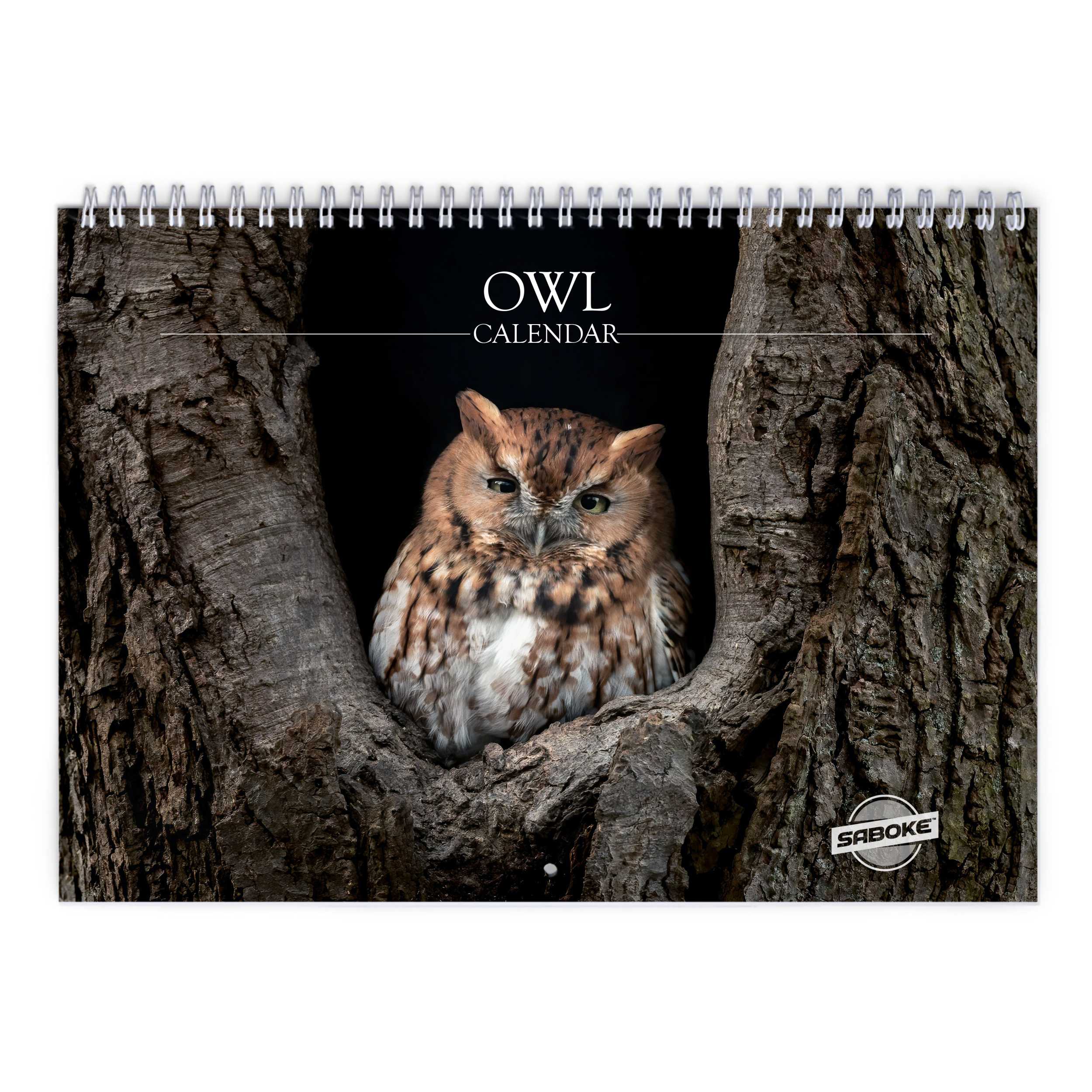 Owl 2026 Wall Calendar