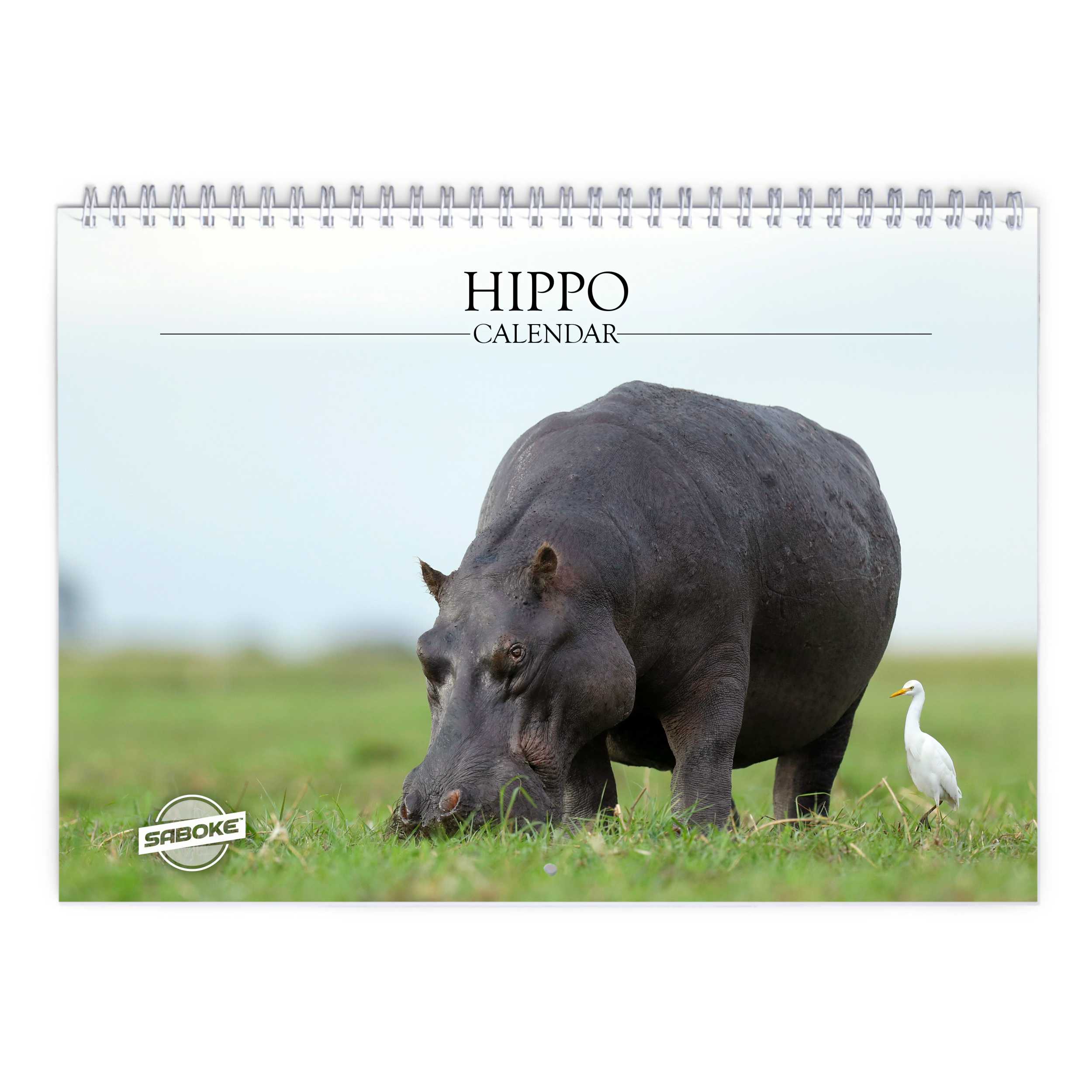 Hippo 2026 Wall Calendar