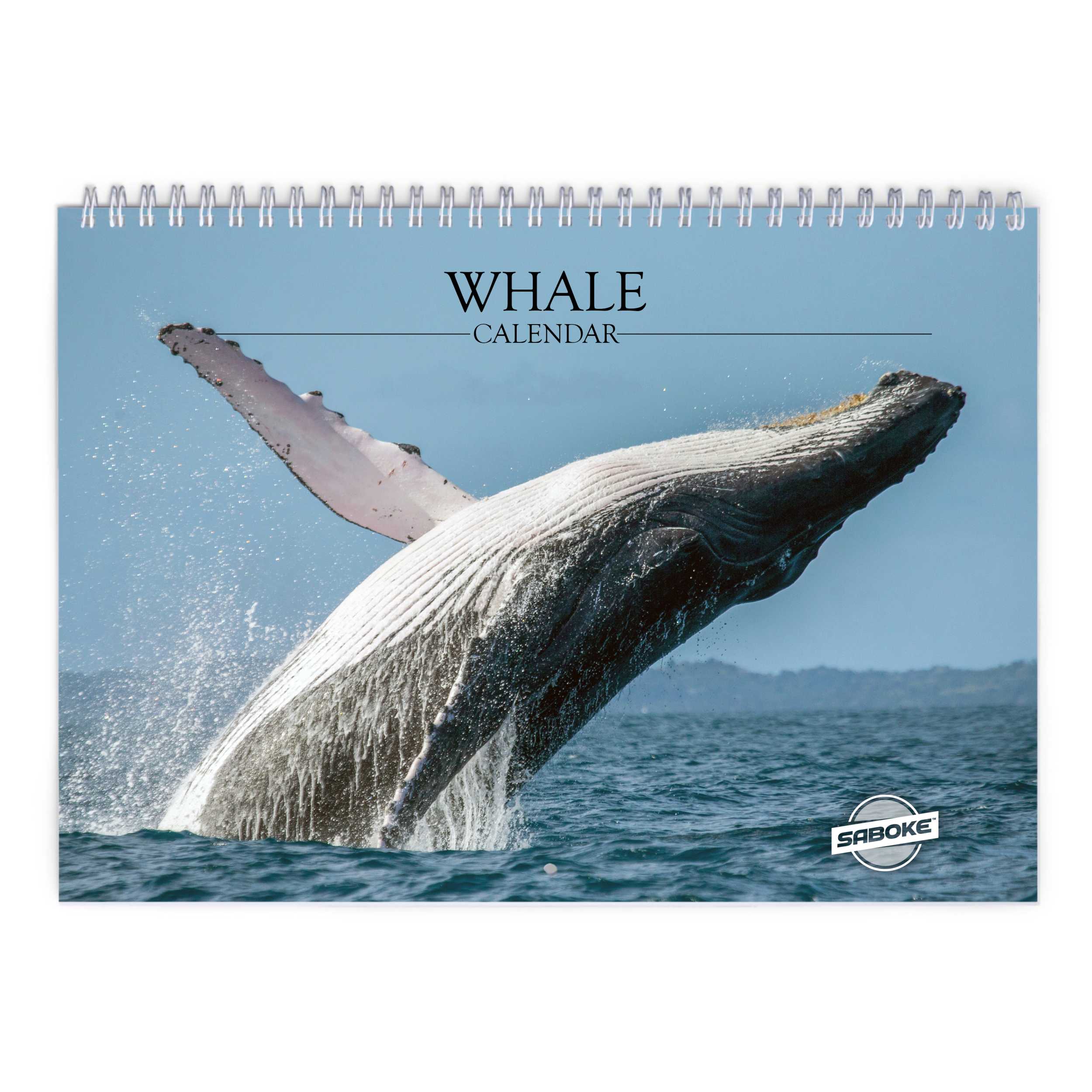 Whale 2026 Wall Calendar