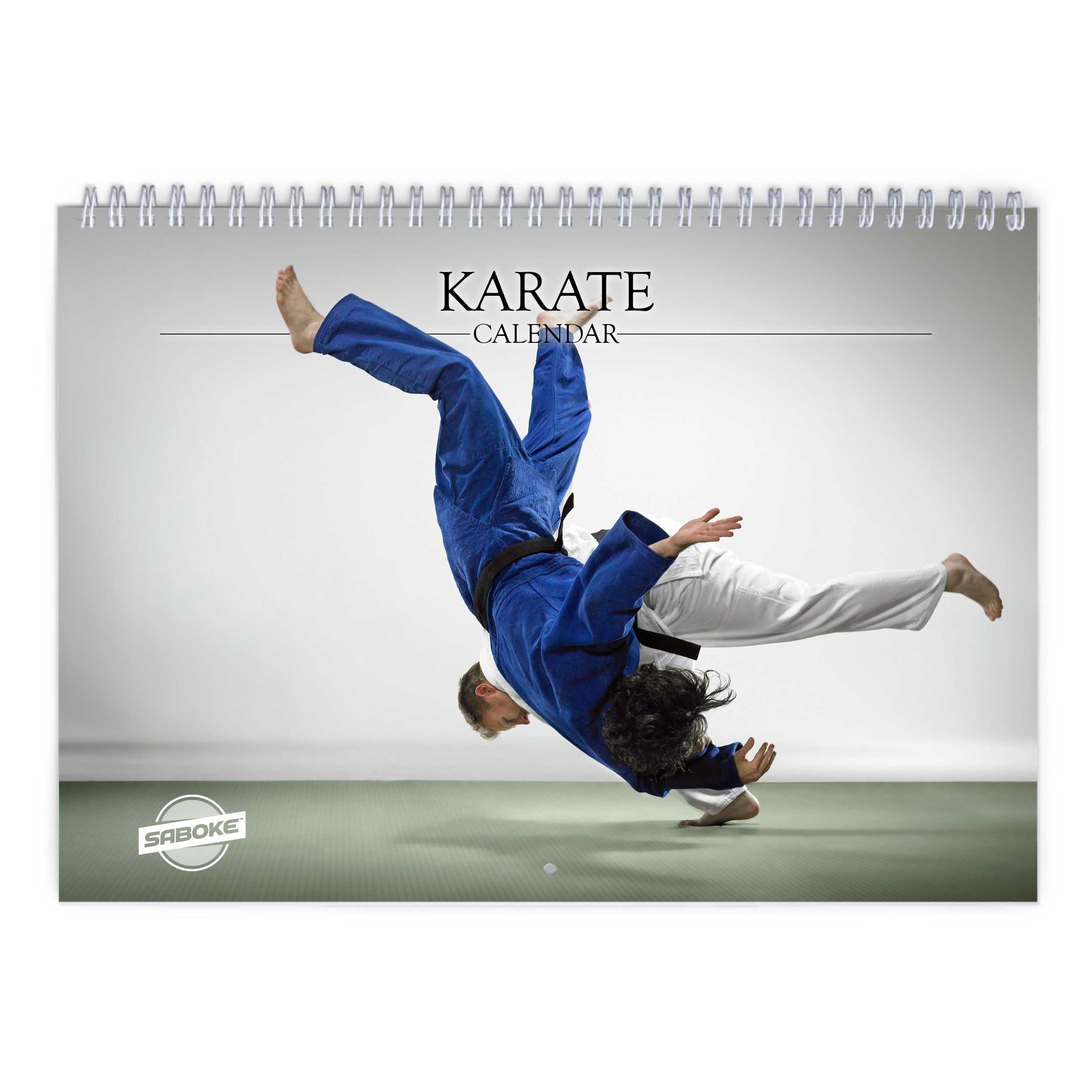 Karate 2026 Wall Calendar