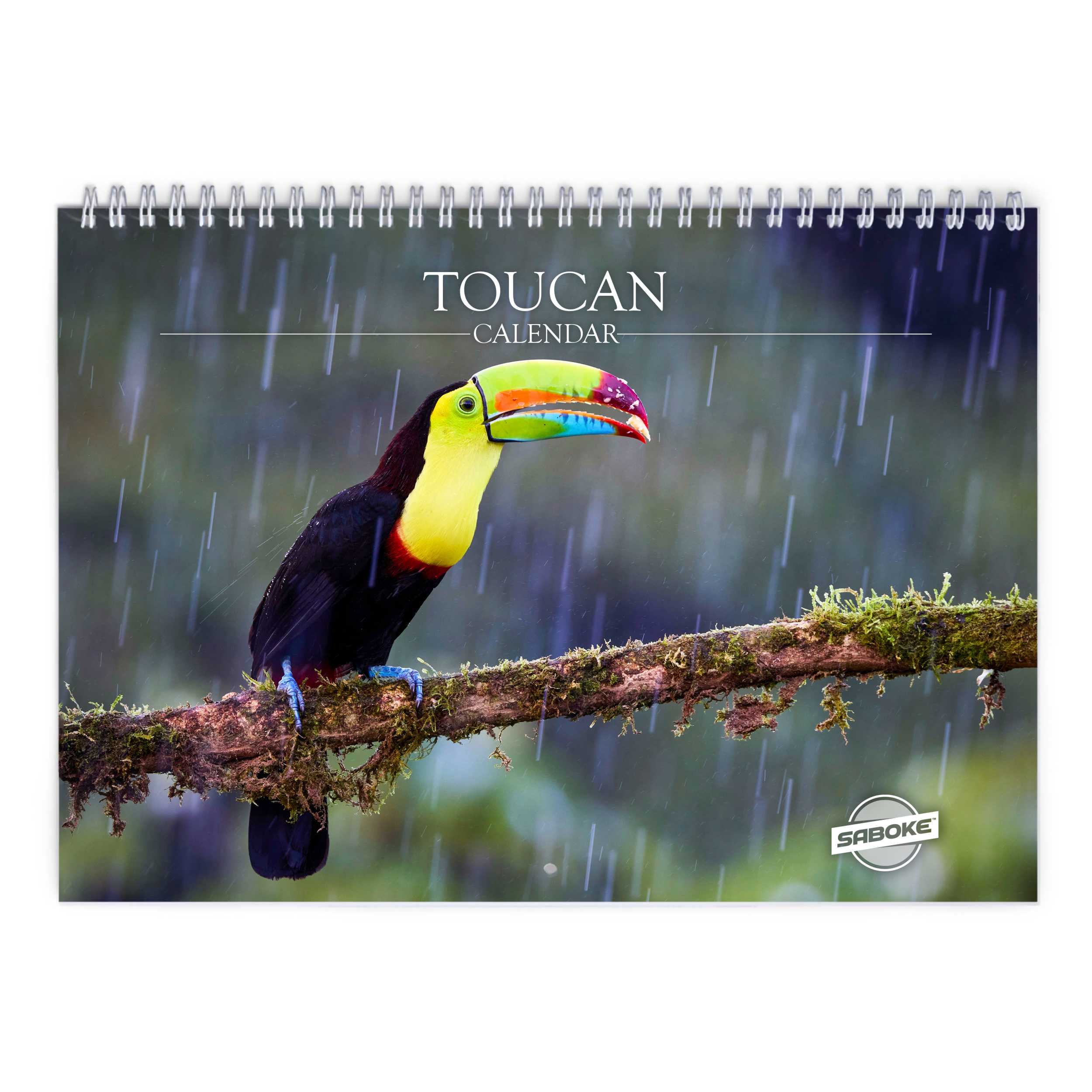 Toucan 2026 Wall Calendar