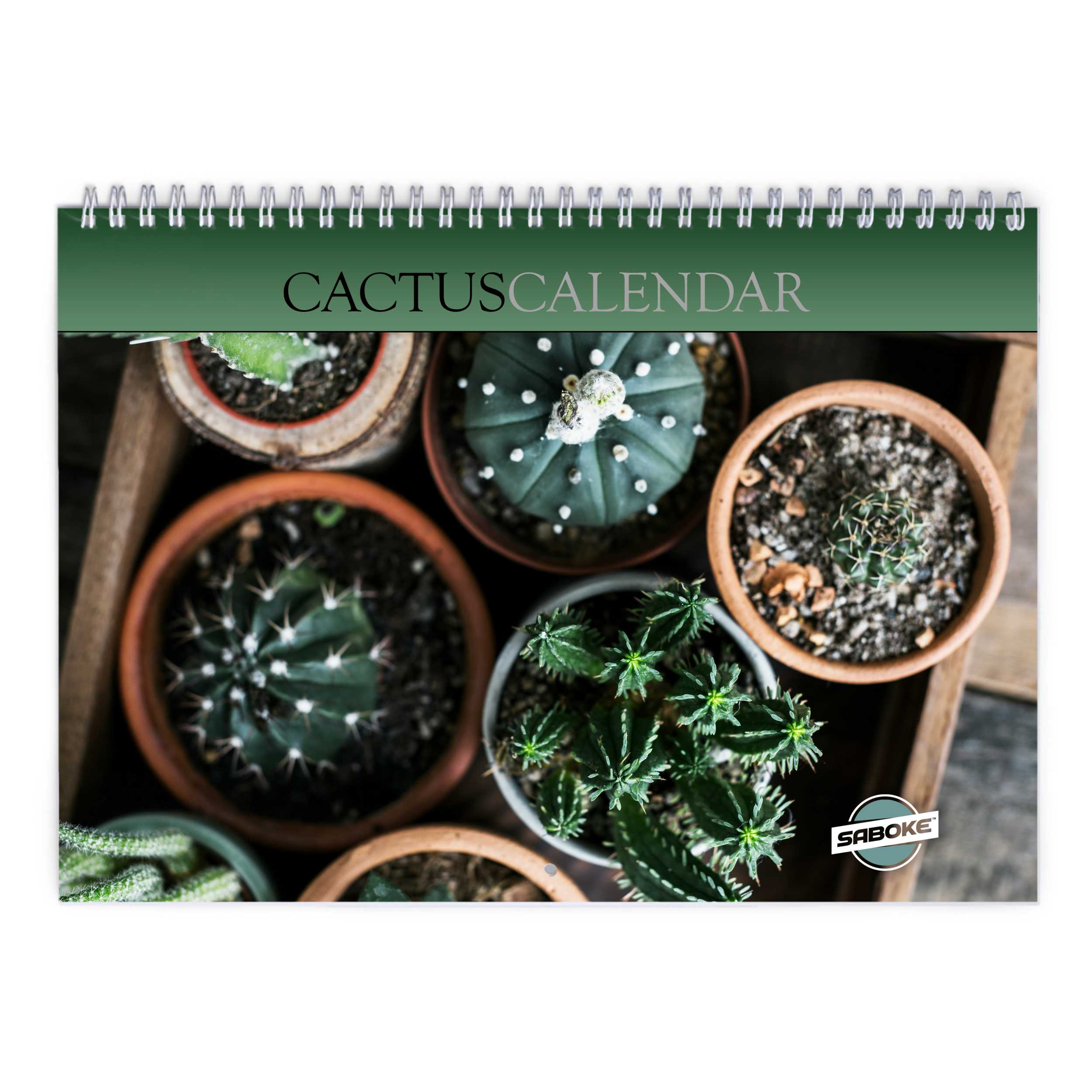 Cactus 2026 Wall Calendar